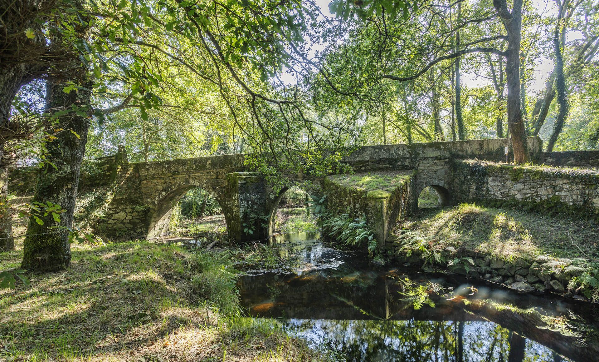 CORVELLE (SAN BARTOLOMEU) » Concello de Vilalba